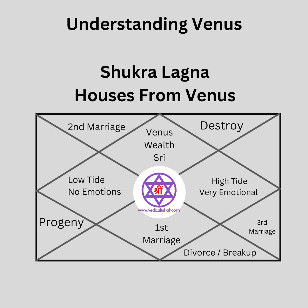 Exploring Venus: The Key to Love, Wealth, Wellness, Marriage & Children ...